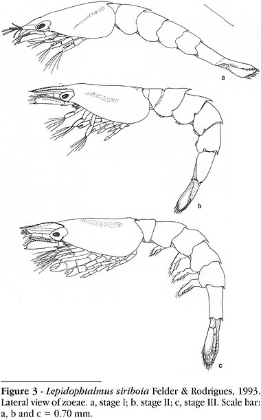 Untitled1 [acta.inpa.gov.br]