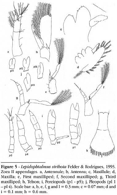 Untitled1 [acta.inpa.gov.br]